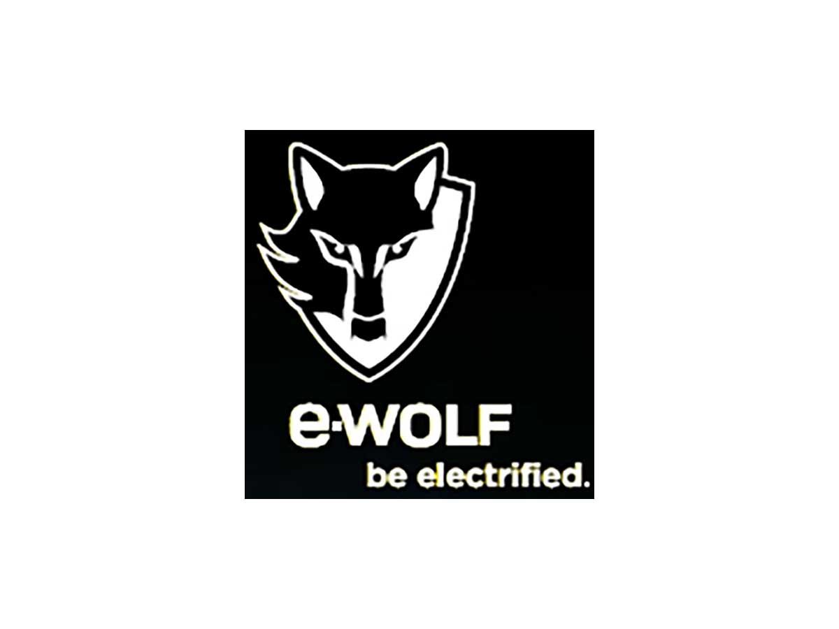 E-Wolf (Germany) - Cartefacts