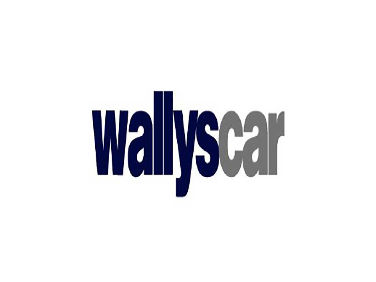 Wallys (Tunisia) - Cartefacts